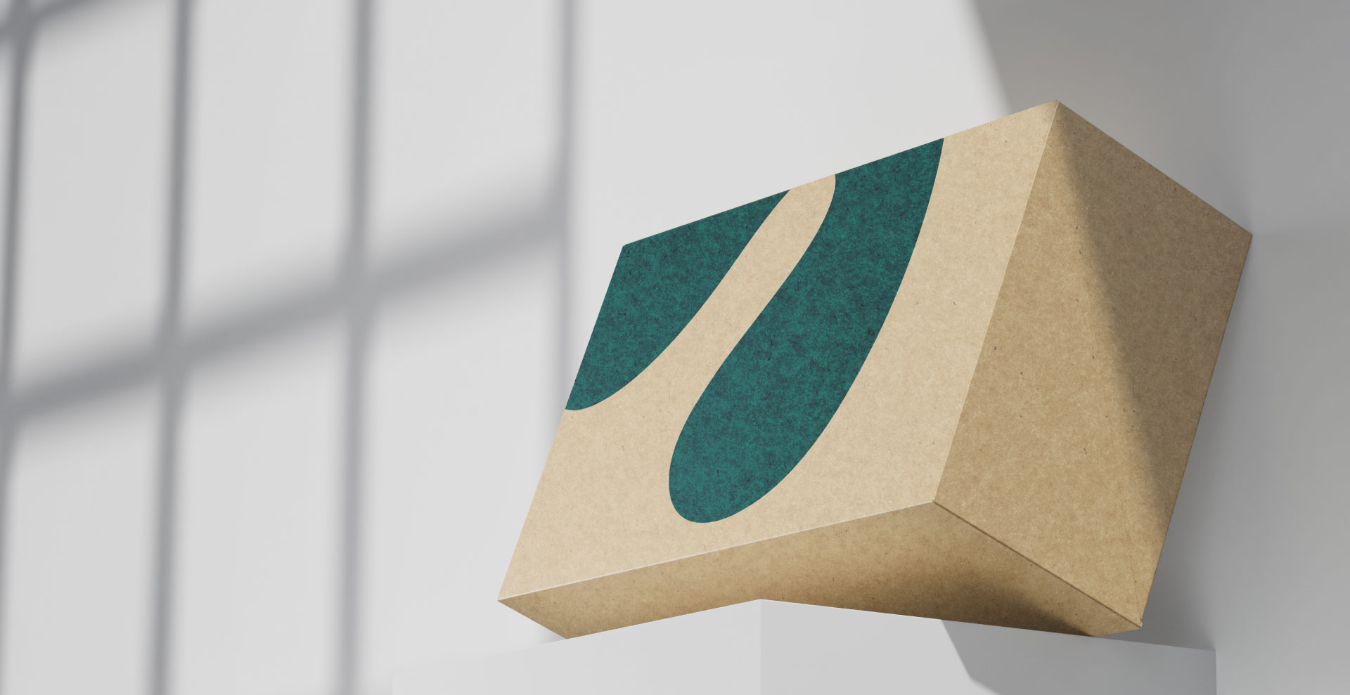 Carton Boxes – Switchflexpak